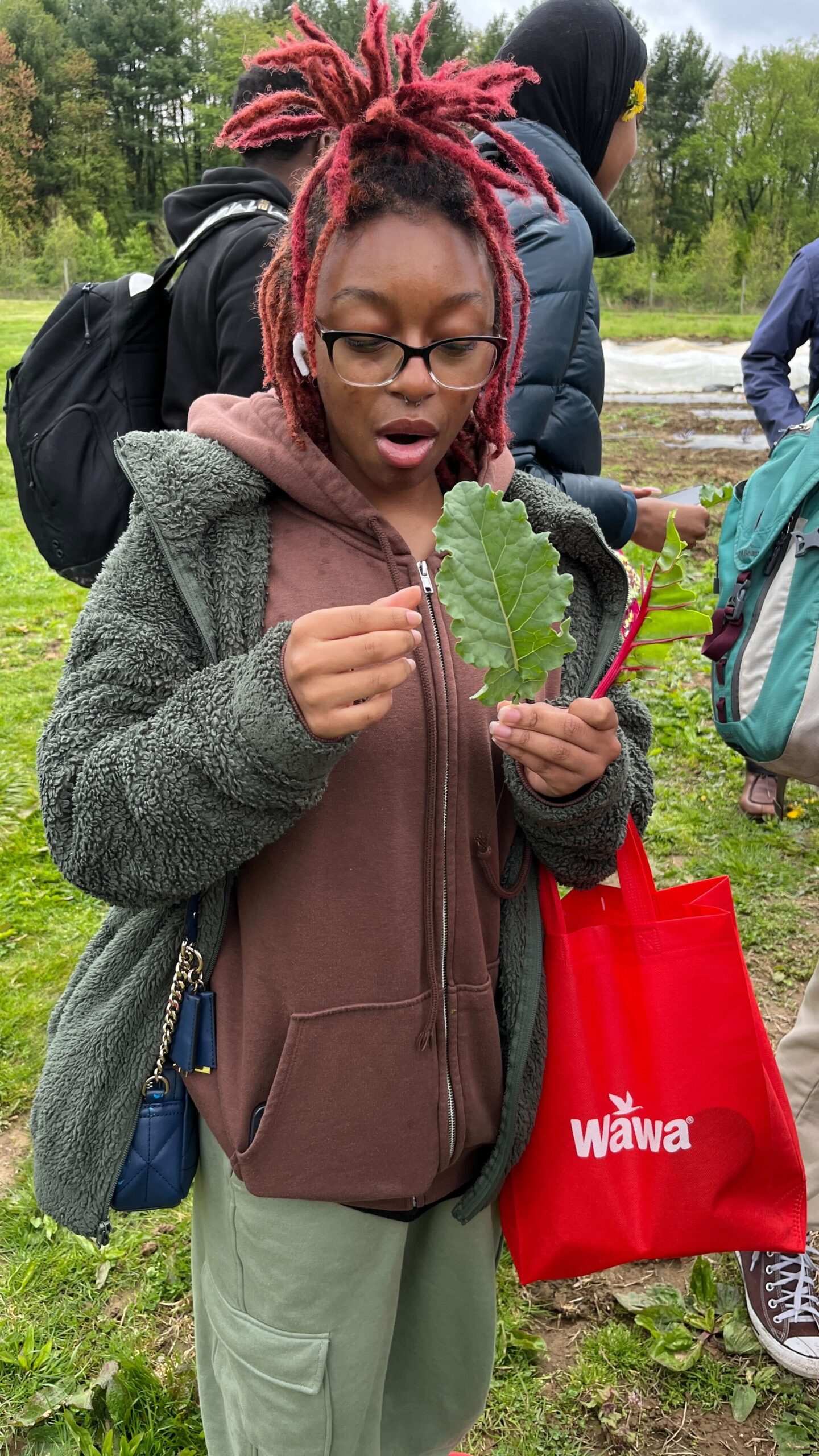 Pennypack Farm & Education Center and Salem Baptist Church Fieldwork ...